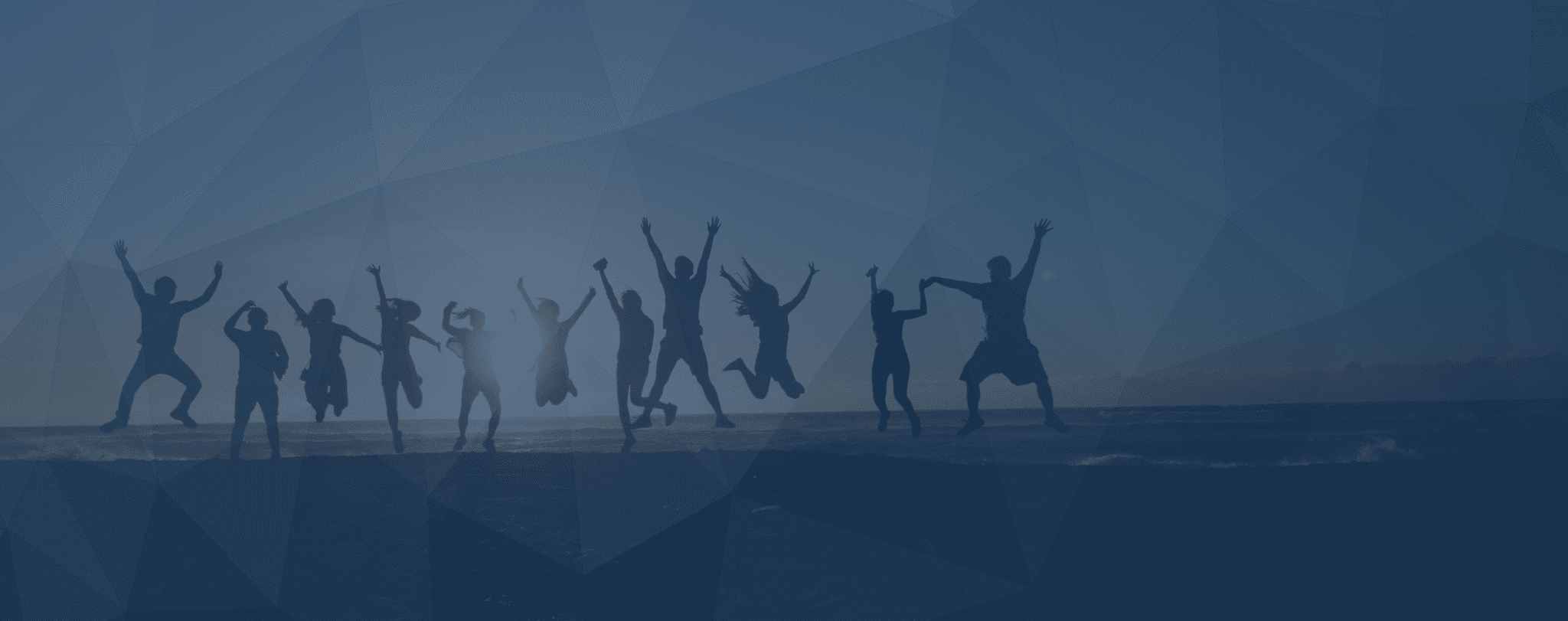 Senior consultant - EVConsult