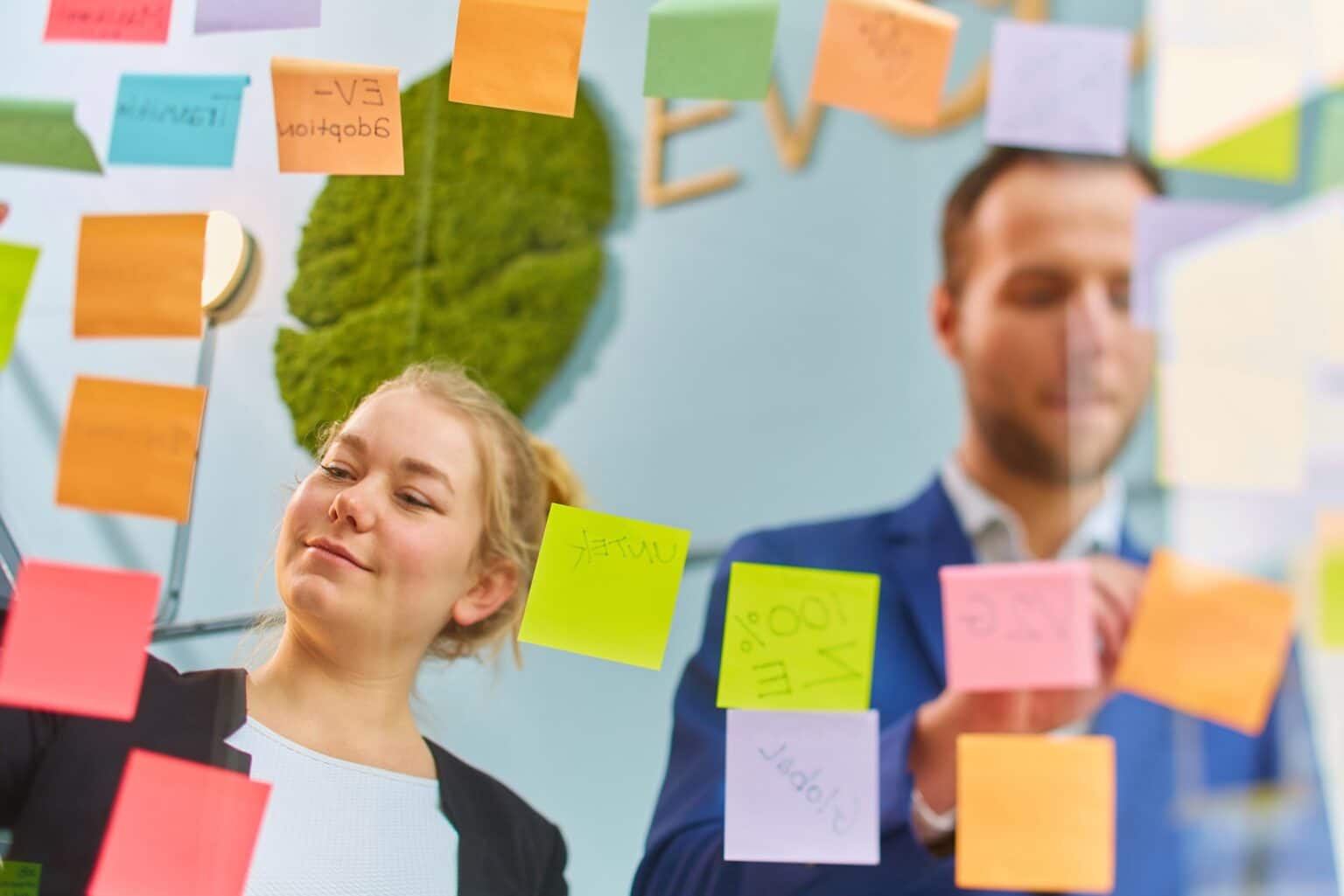 Junior consultant - EVConsult